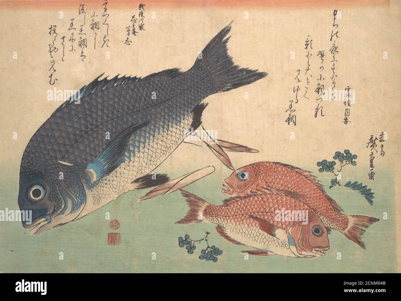 Kodai fish hi-res stock photography and images - Alamy