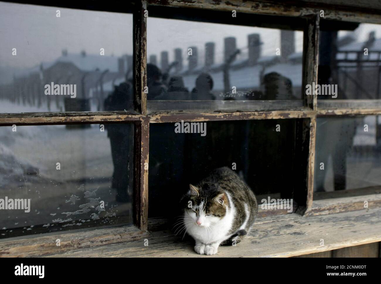 Camp nazi staff hi-res stock photography and images - Alamy