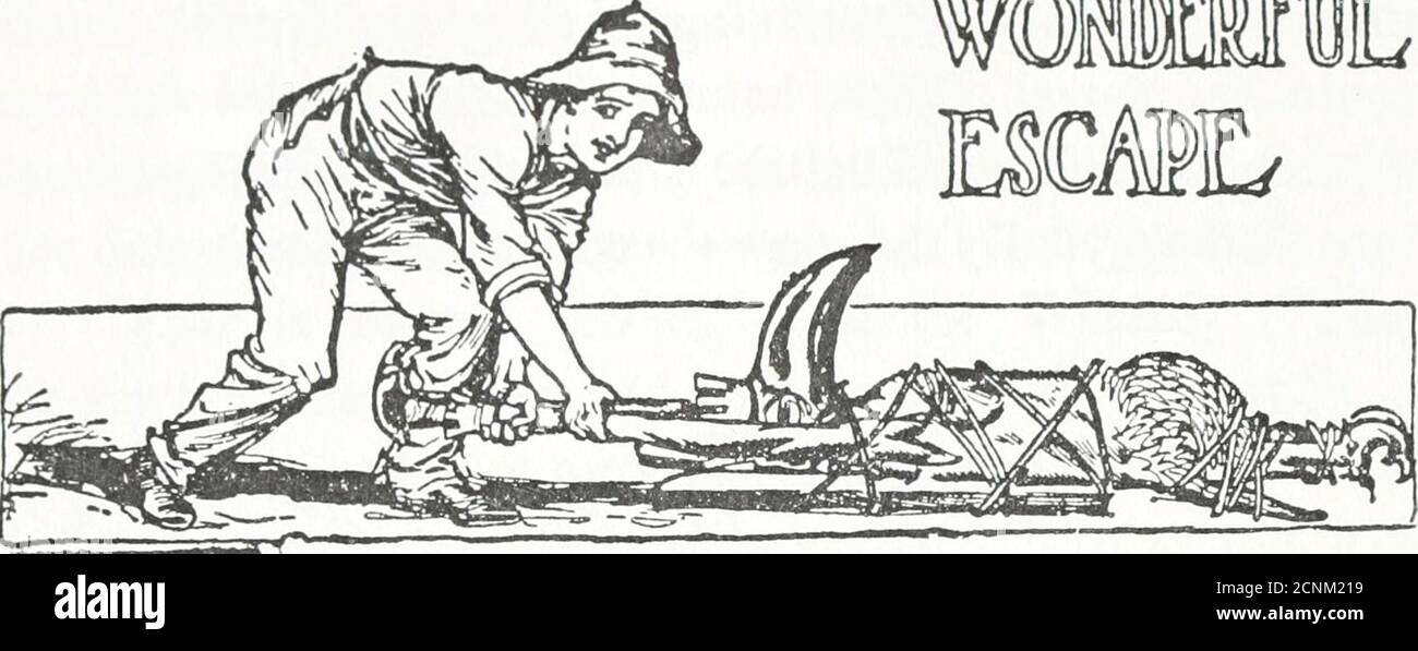 Ncol hi-res stock photography and images - Alamy