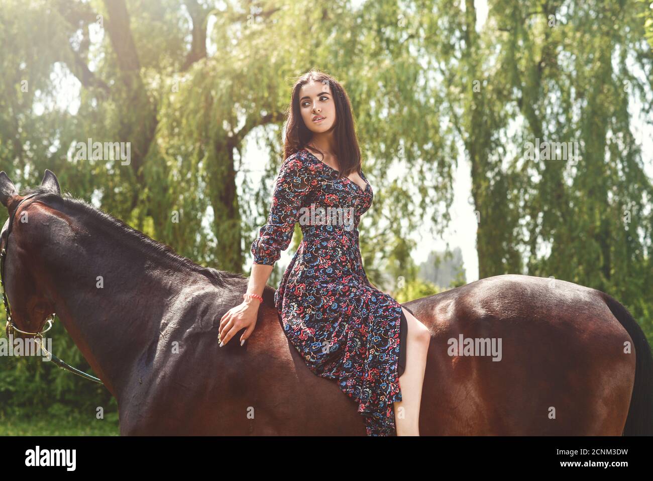 Pretty girl with horse hi-res stock photography and images - Alamy