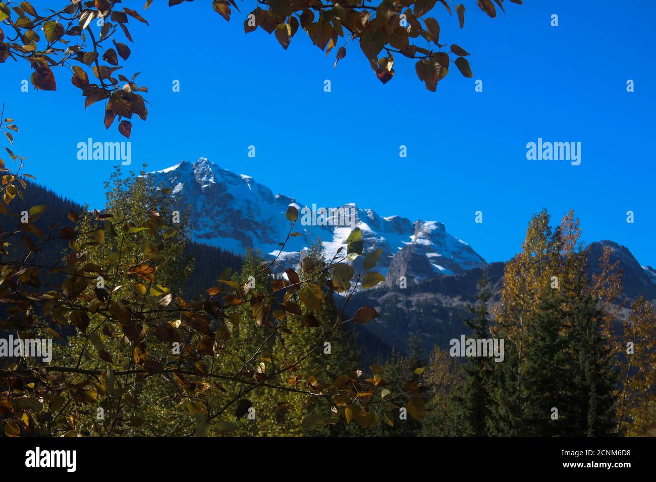 Jasper National Park, Mount Robson in Canada with a view of mountains ...