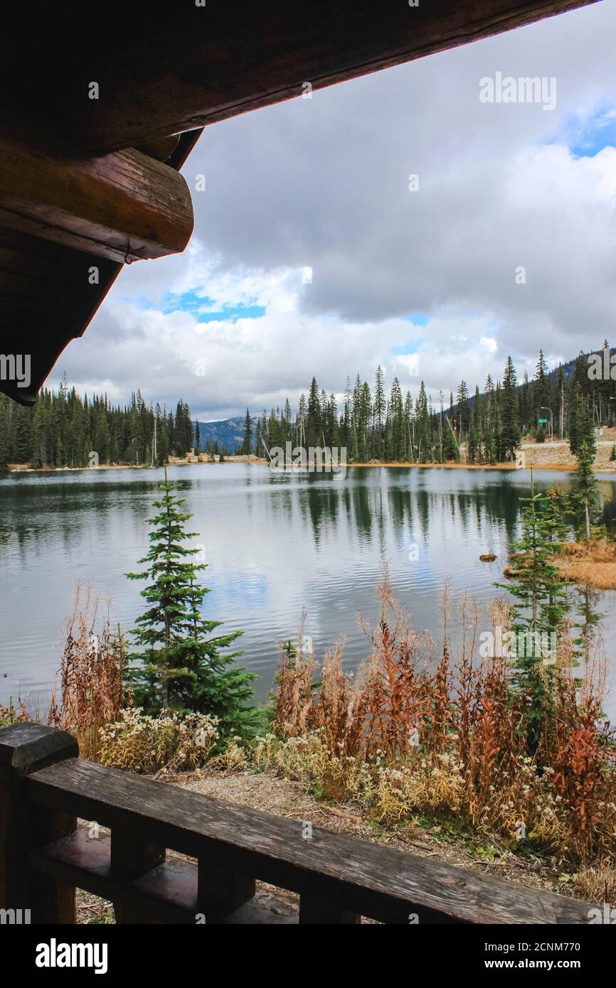 Trees and lakes in Canada with a view of coniferous forest / tree ...