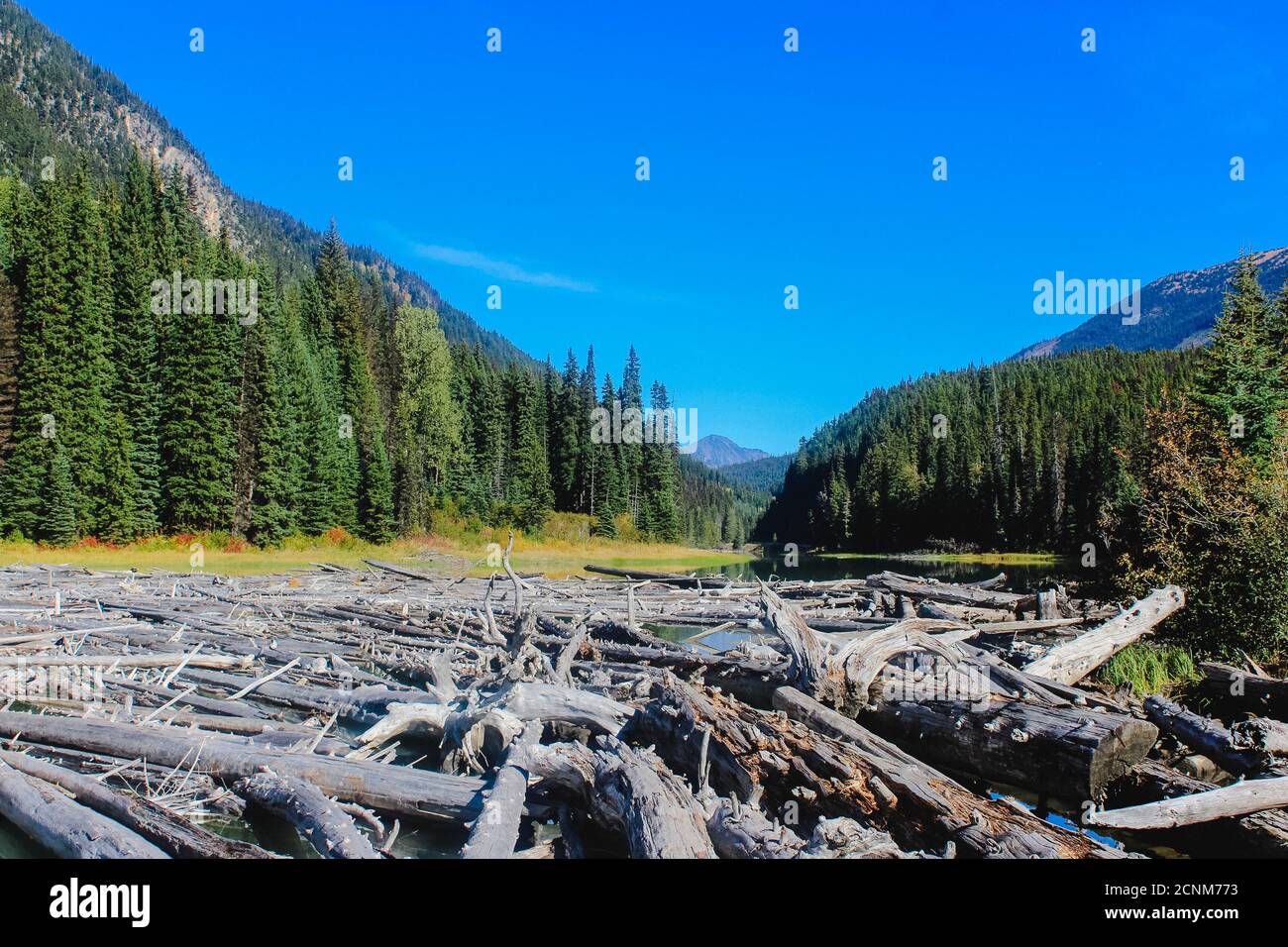 Jasper National Park, Mount Robson in Canada with a view of mountains ...