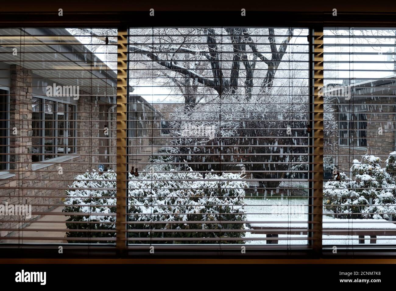 View out an office window with snow falling during a big snow storm in ...