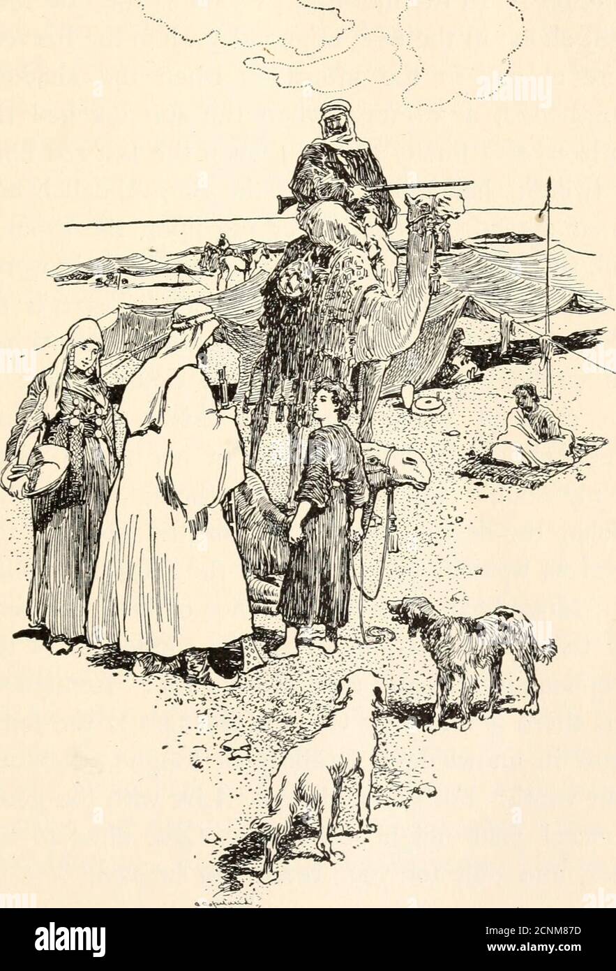 Beni amer hi-res stock photography and images - Alamy