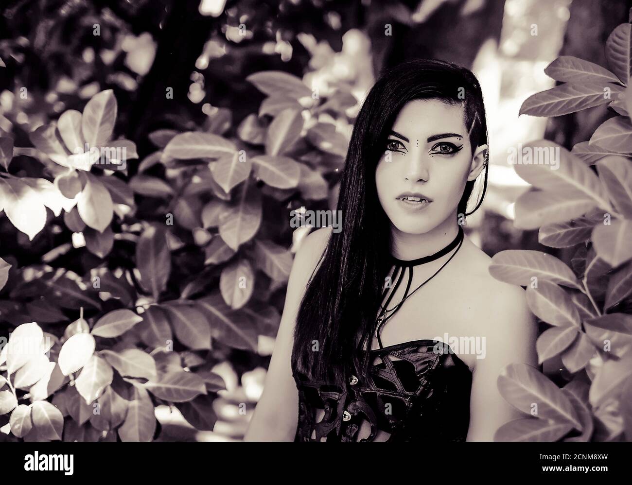 portrait of demonic makeup girl with vampire teeth. High quality photo ...