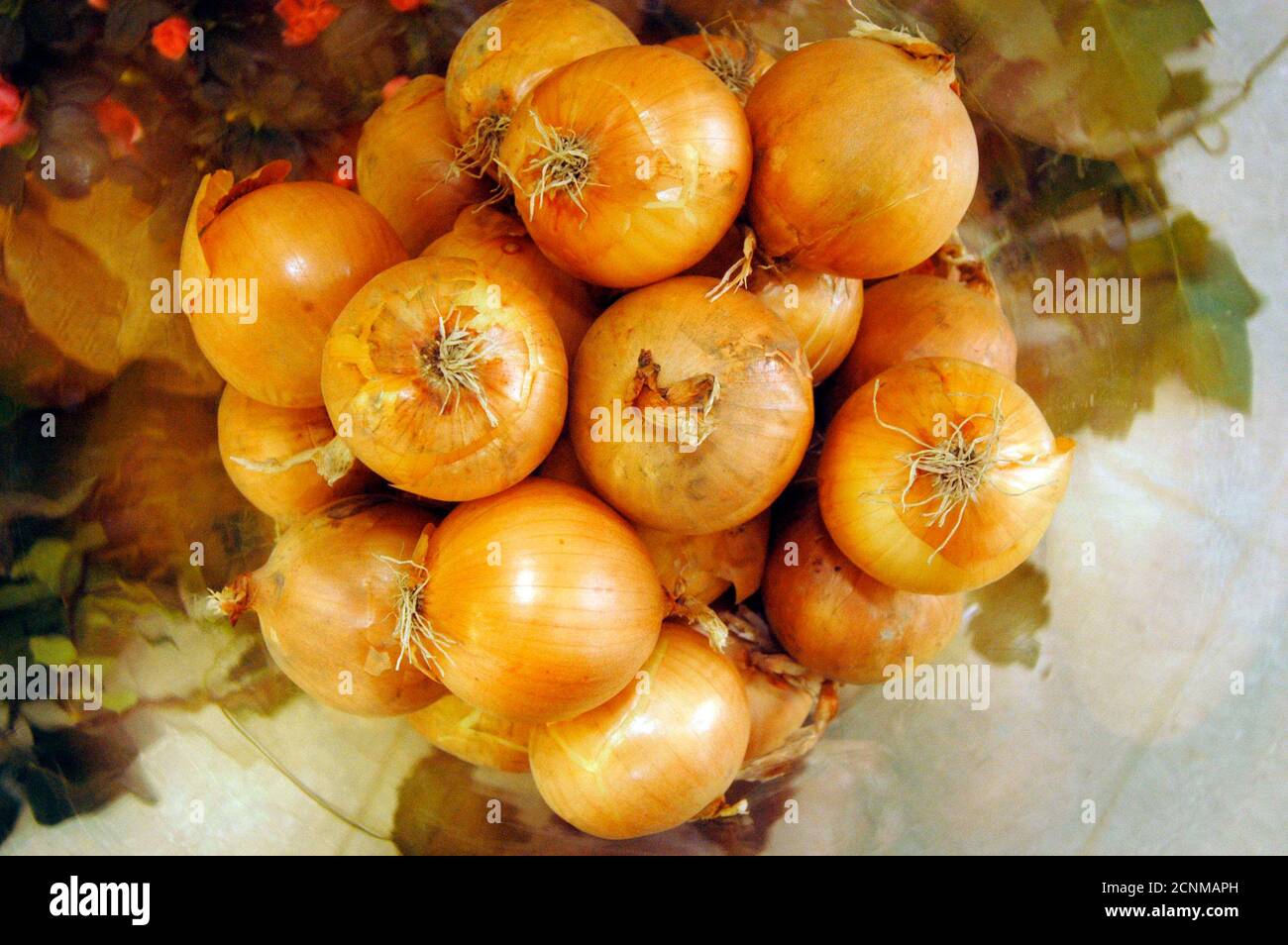 Varieties of edible onion plants hi-res stock photography and images ...