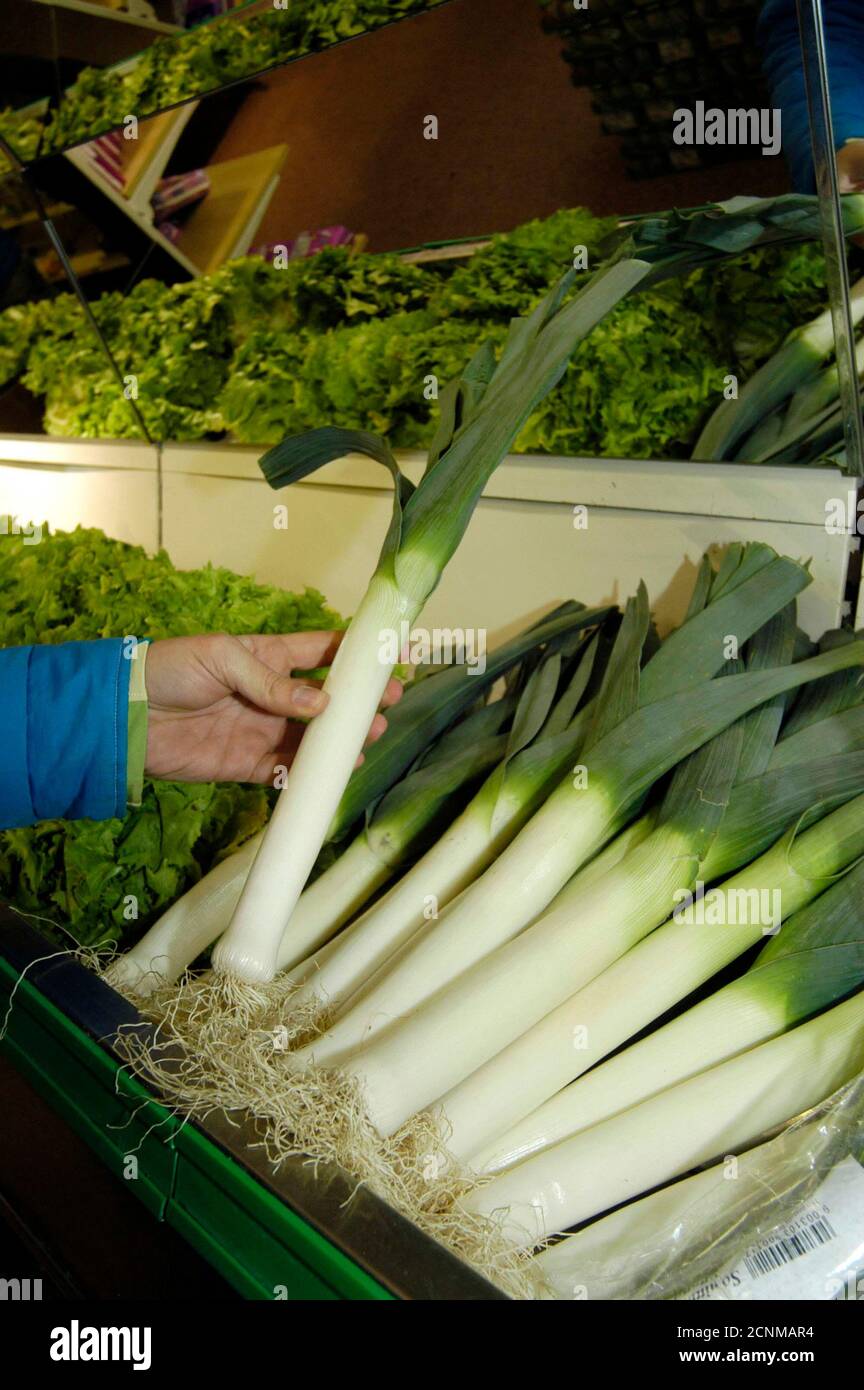 Varieties of leek plants hi-res stock photography and images - Alamy