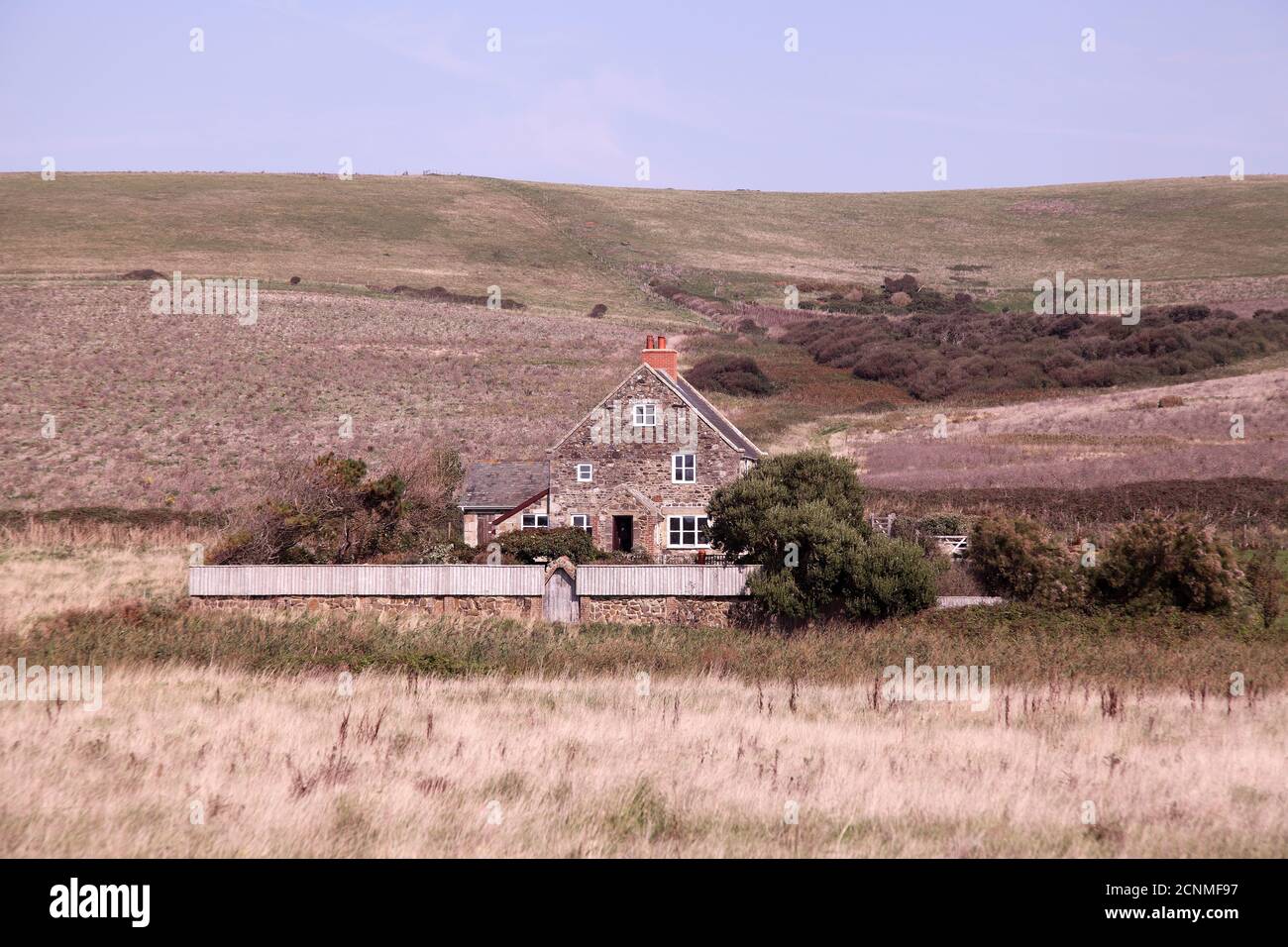 Biomimicry in architecture hi-res stock photography and images - Alamy
