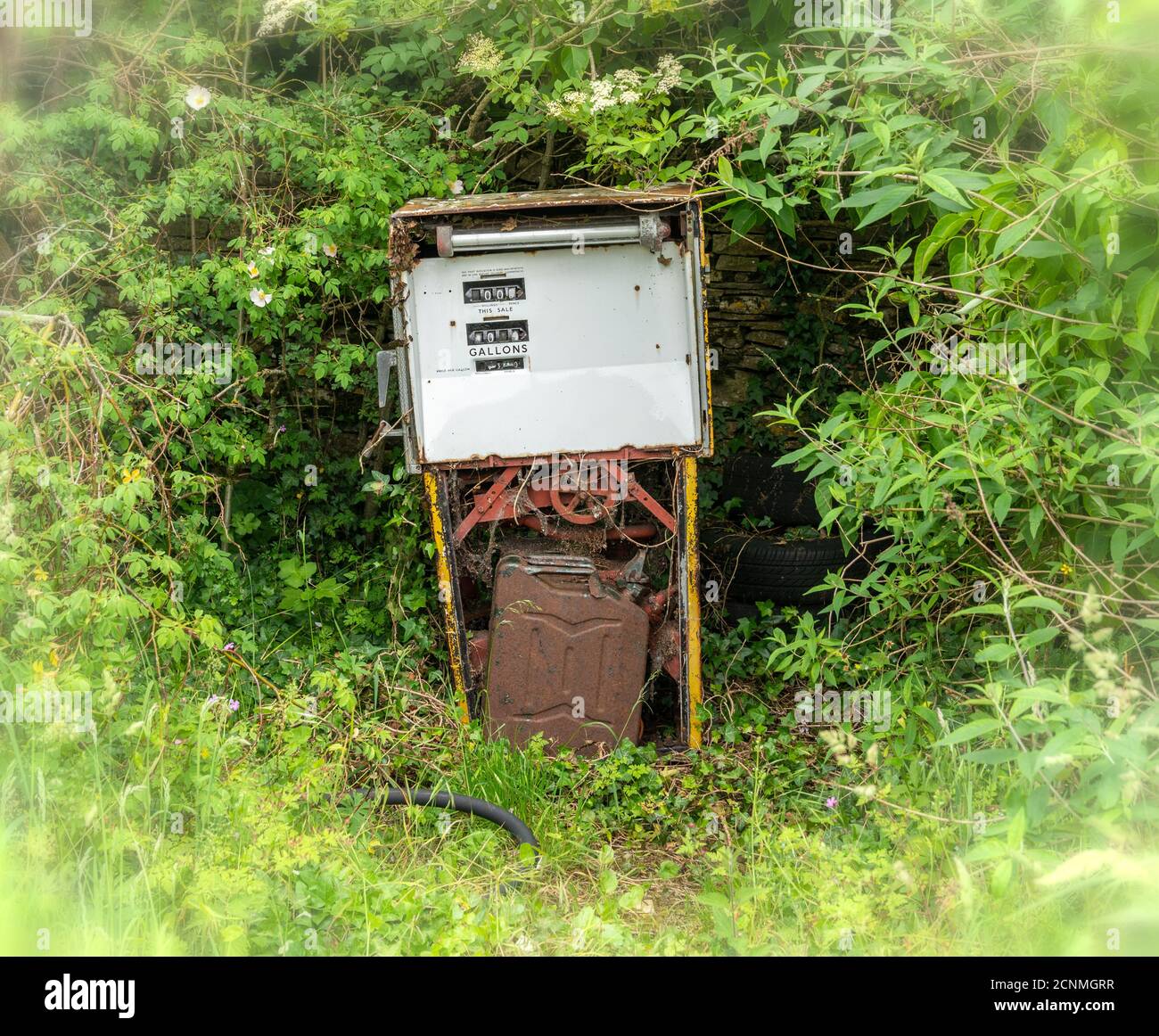 Old discarded petrol pump being overgrown by nature Stock Photo - Alamy