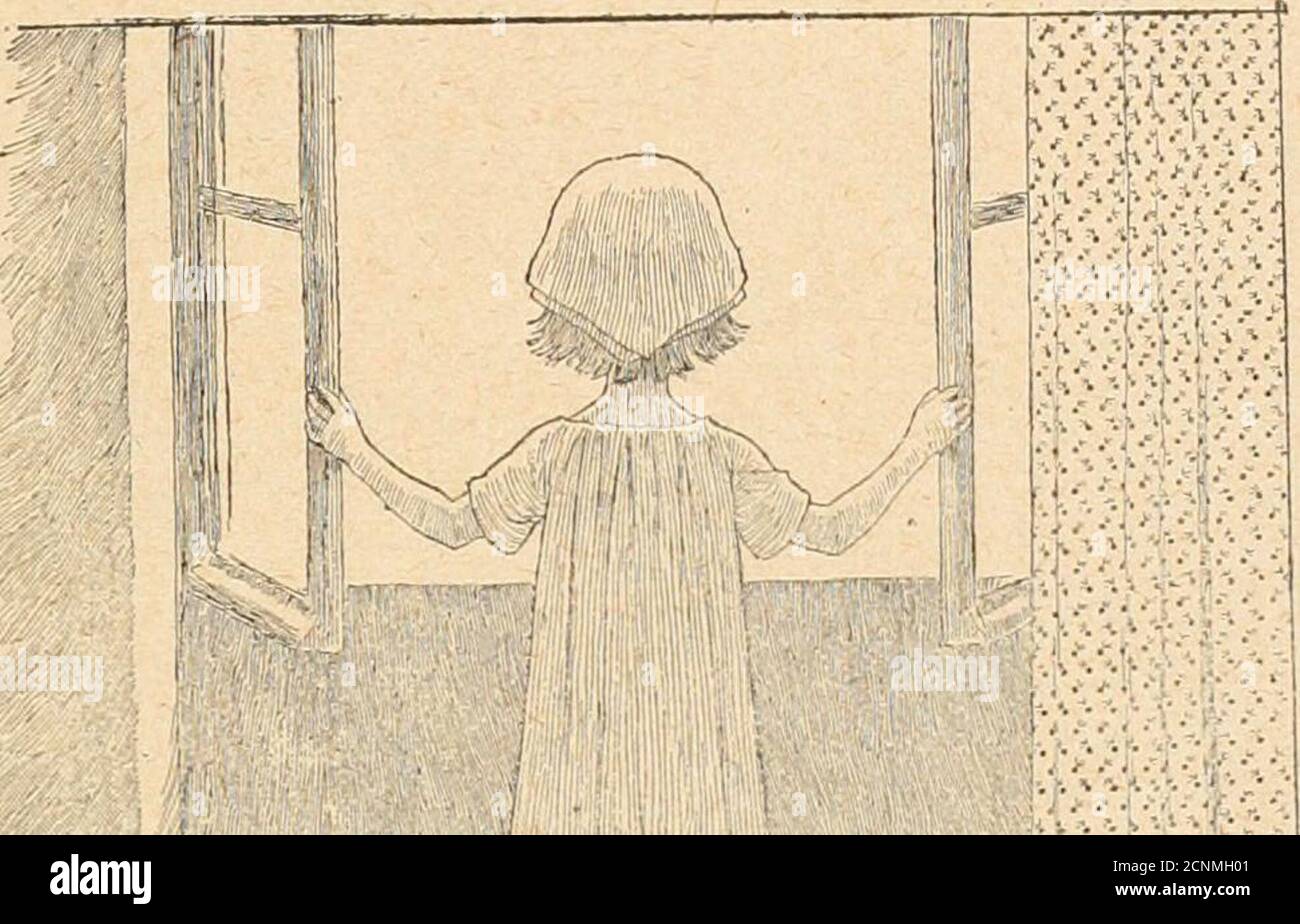 Moineau de la ville hi-res stock photography and images - Alamy