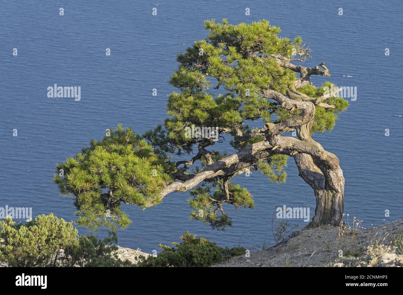Relict hi-res stock photography and images - Alamy