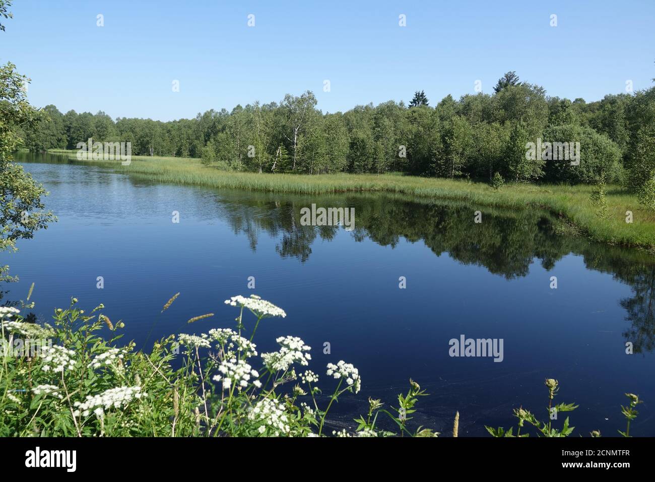 Red moor in the Rhoen Stock Photo - Alamy