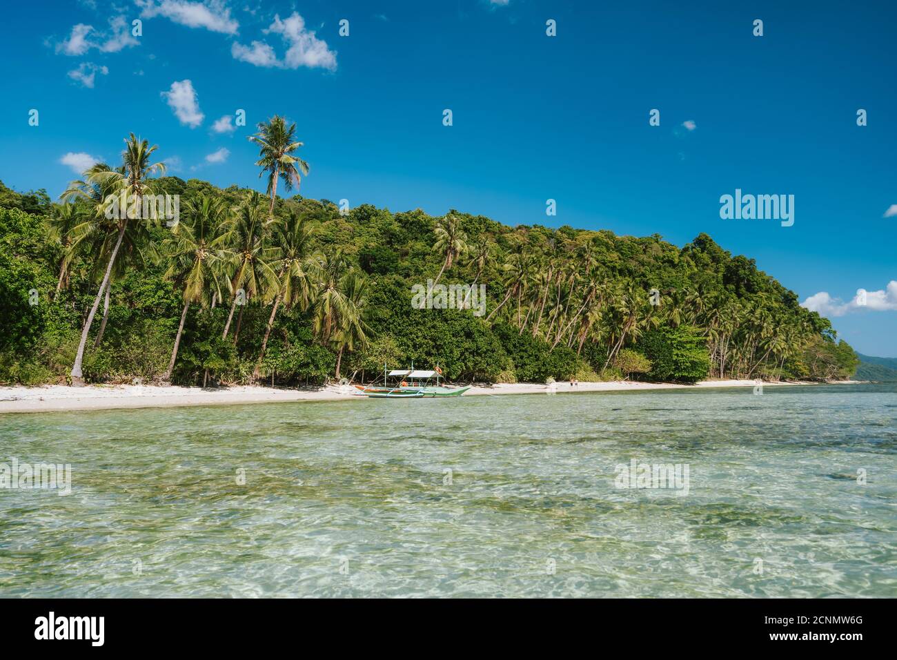 tourist boat at tropical secluded sandy beach with coconut palm trees ...