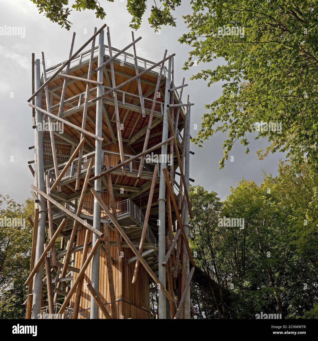 Treetop tower hi-res stock photography and images - Alamy