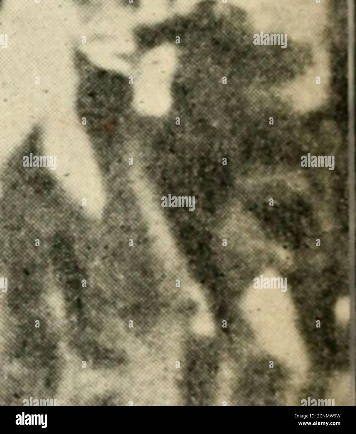 . Tom Slade on the river . «r Stock Photo - Alamy