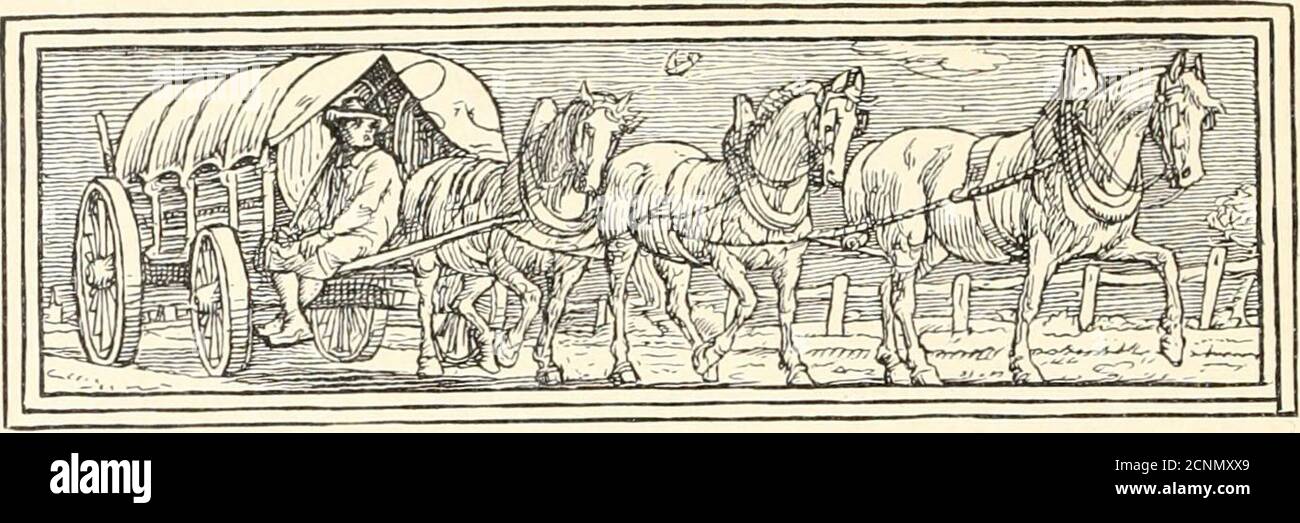 . Household stories from the collection of the Bros. Grimm . •The DOG ...