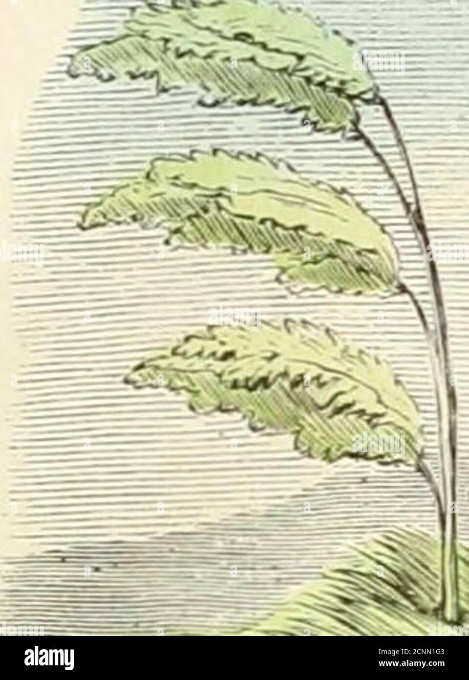 Figure pluie hi-res stock photography and images - Alamy