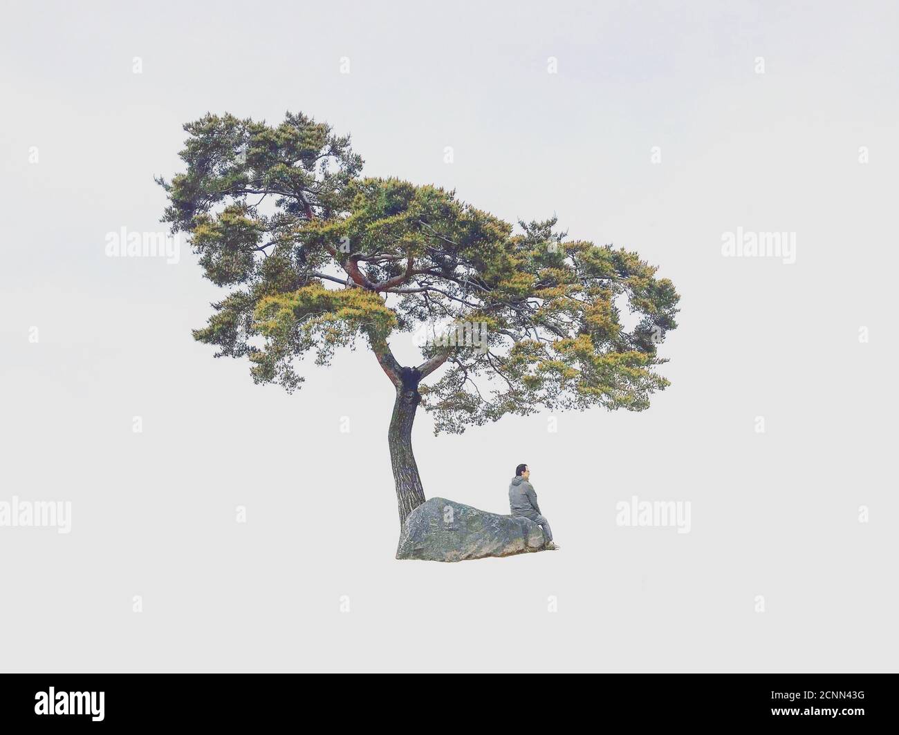 Man sitting on a rock under a tree, South Korea Stock Photo - Alamy
