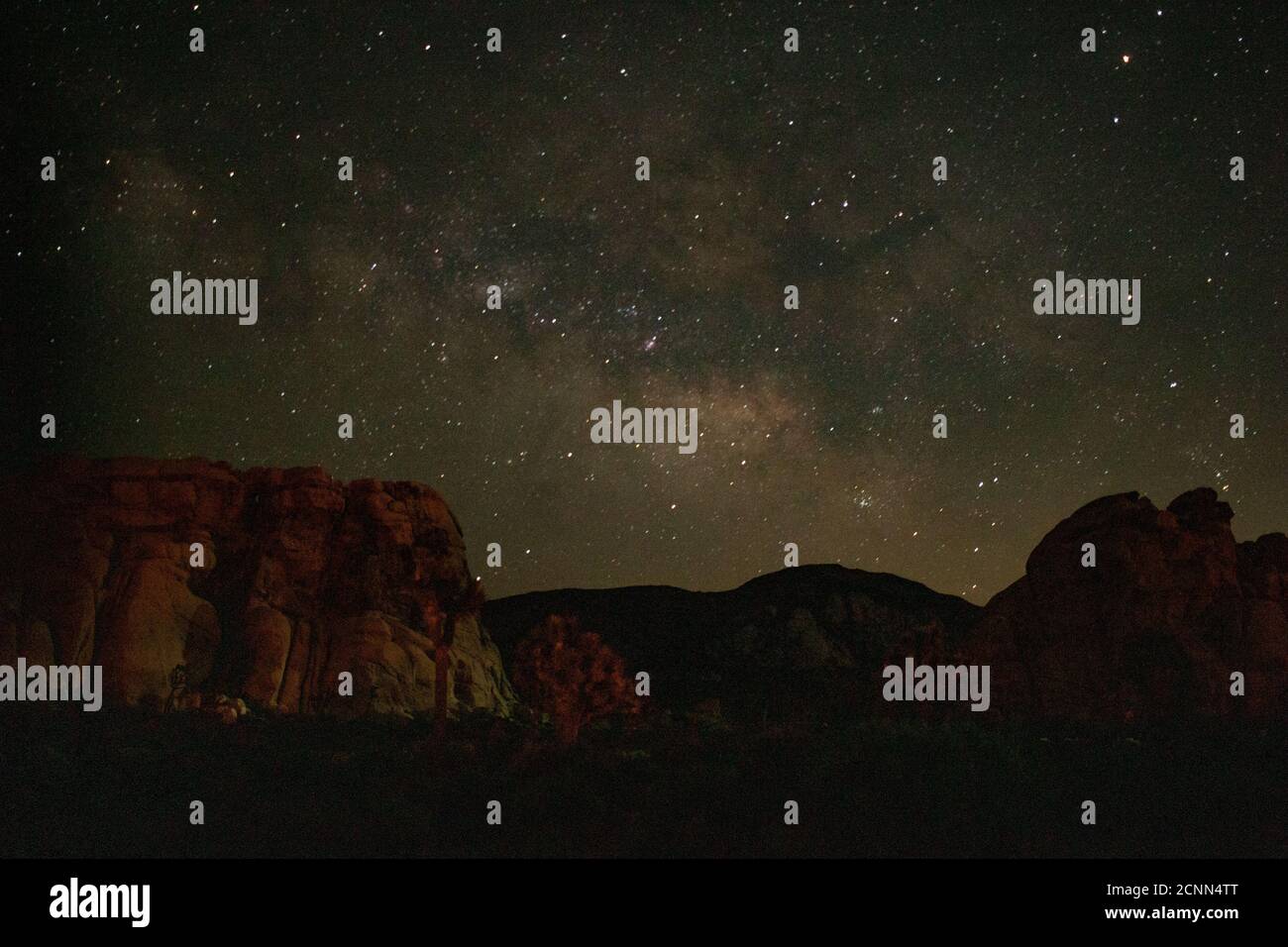 Breathtaking view of the Milky Way Galaxy at the Joshua Tree National ...