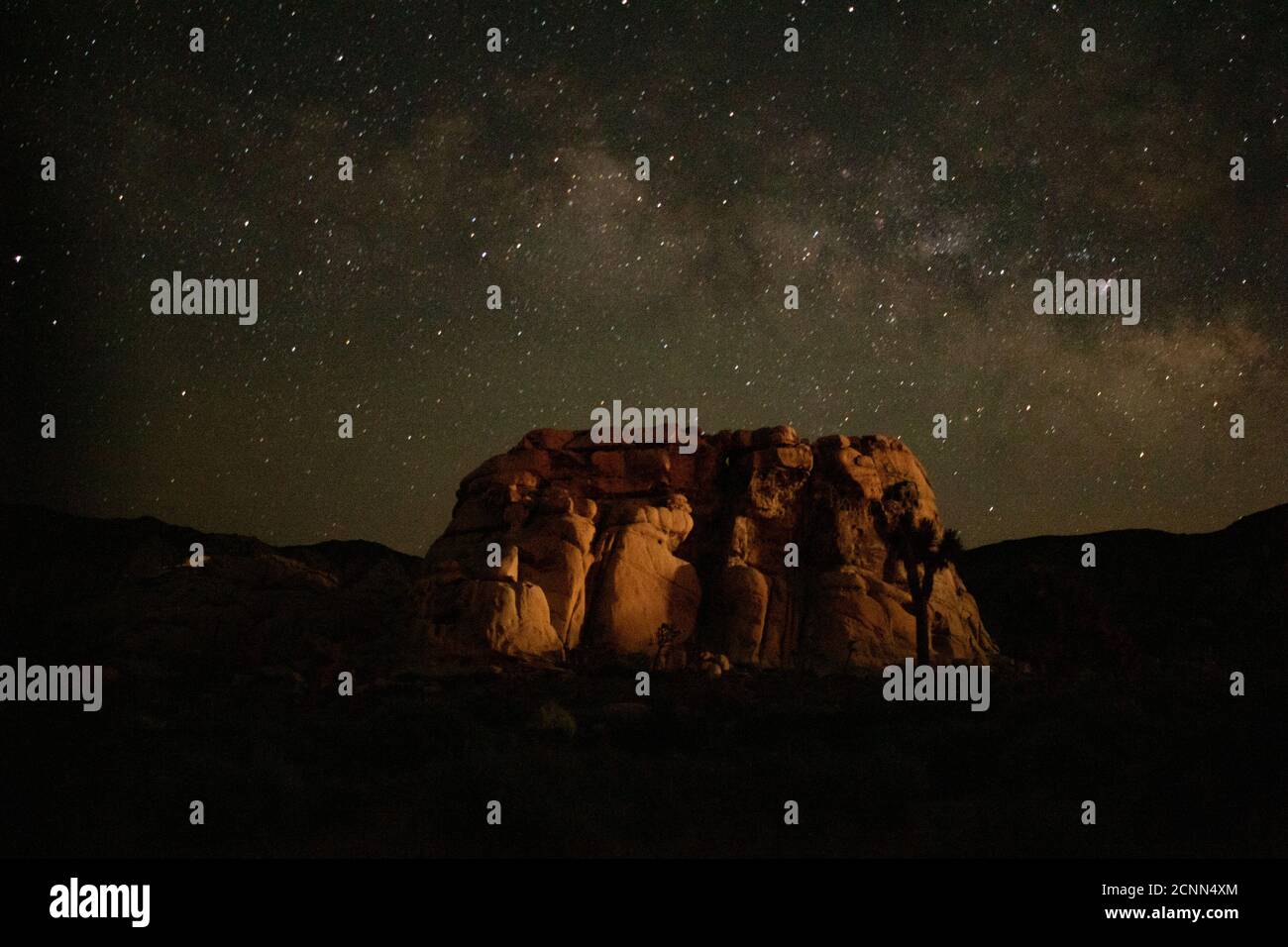 Breathtaking view of the Milky Way Galaxy at the Joshua Tree National ...