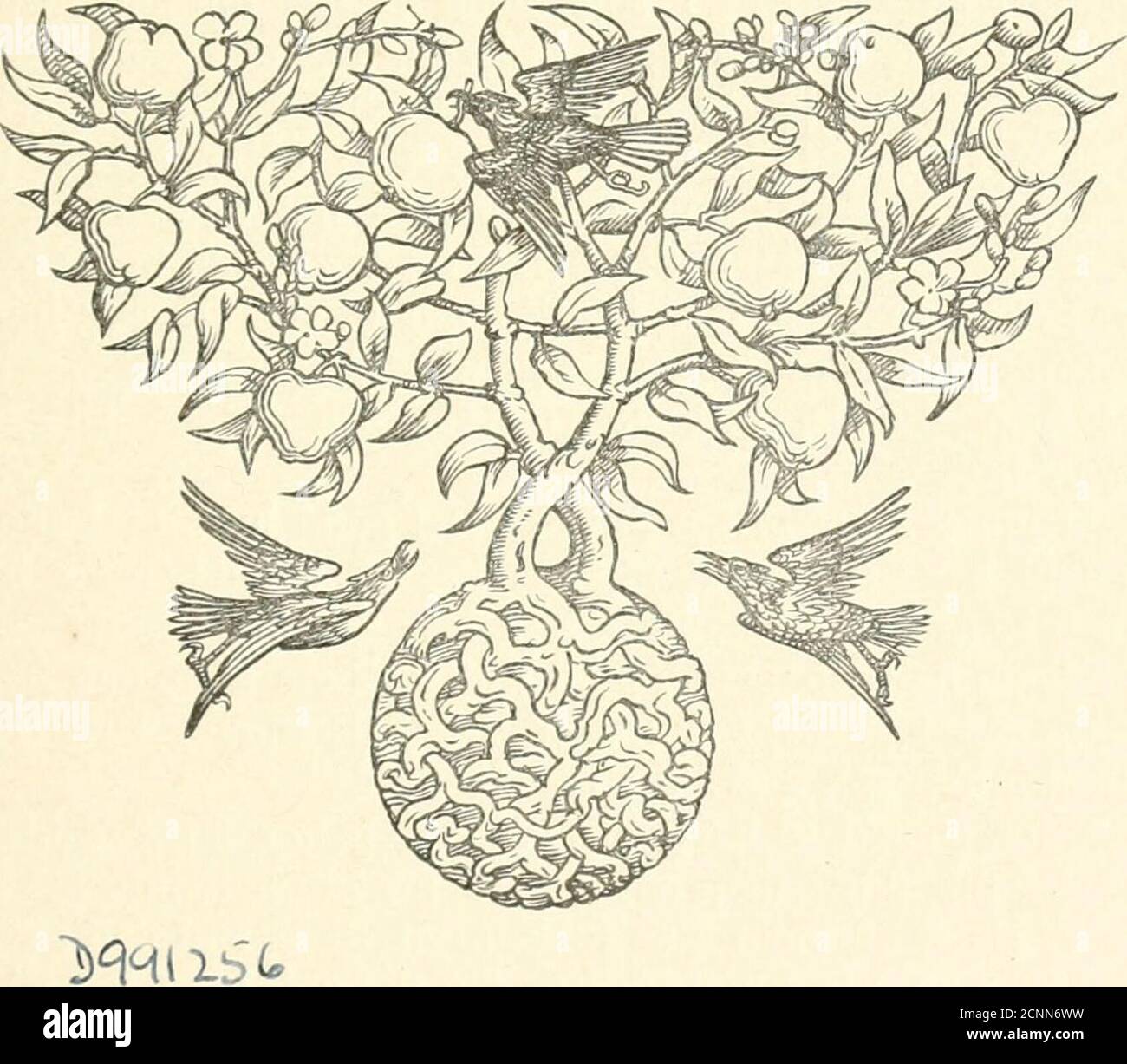 Grimm and ravens hi-res stock photography and images - Alamy