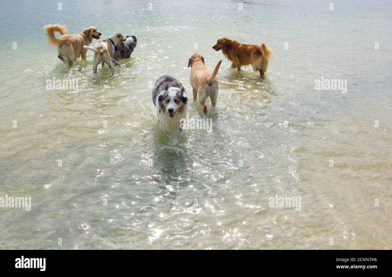 Group people standing at bar hi-res stock photography and images - Alamy