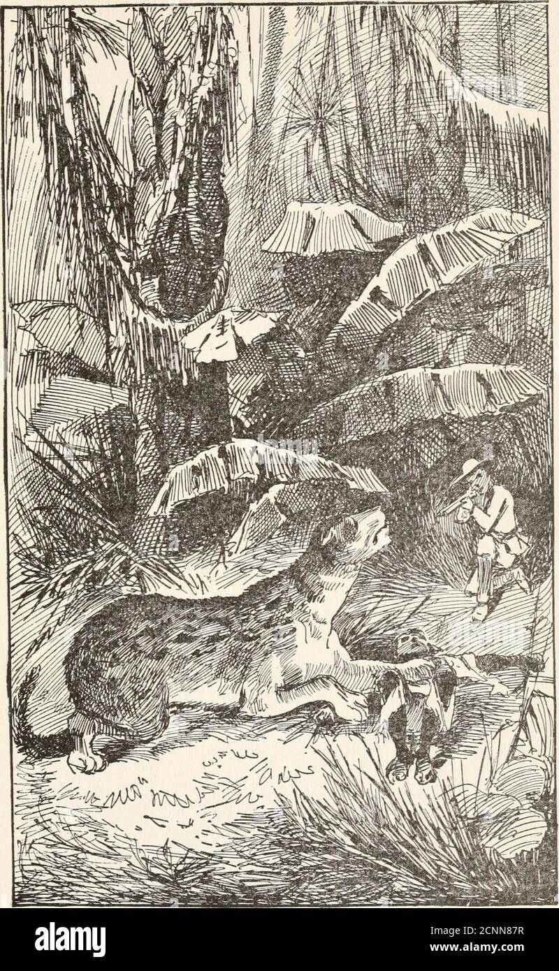 Machete in teeth hi-res stock photography and images - Alamy