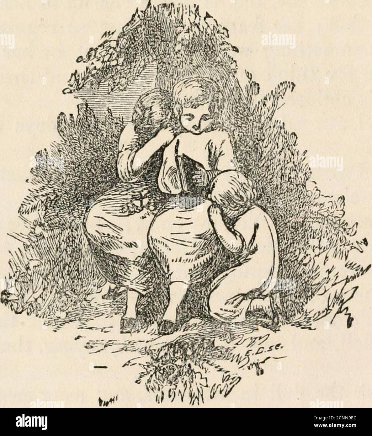 Bookidfinikinhisgoldpi00chat hi-res stock photography and images - Alamy