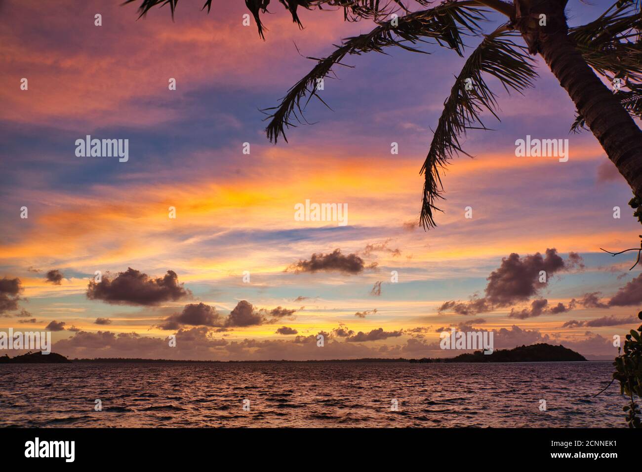 Gorgeous tropical sunset framed by palm tree and leaves, off of the ...