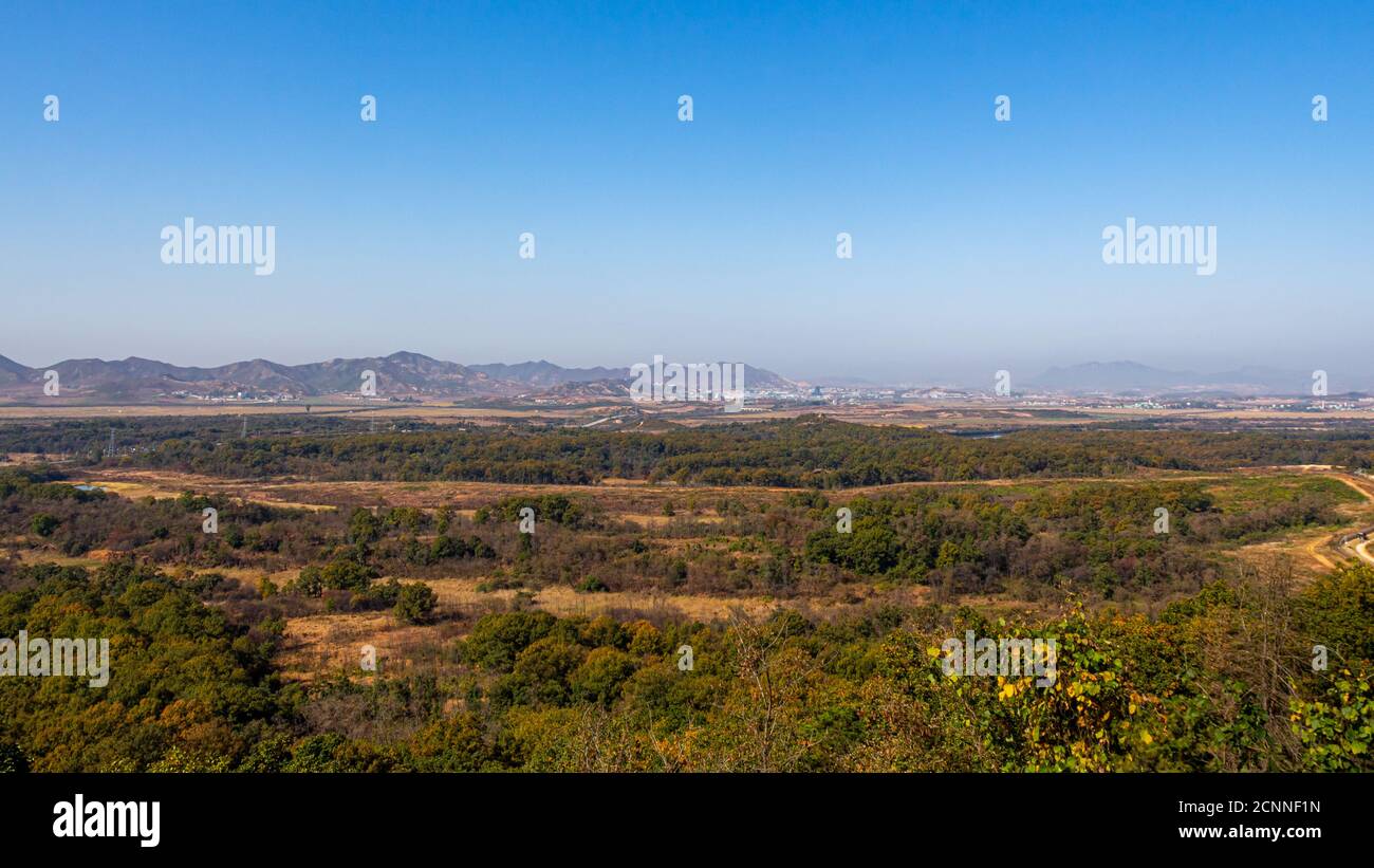 Paju hi-res stock photography and images - Alamy