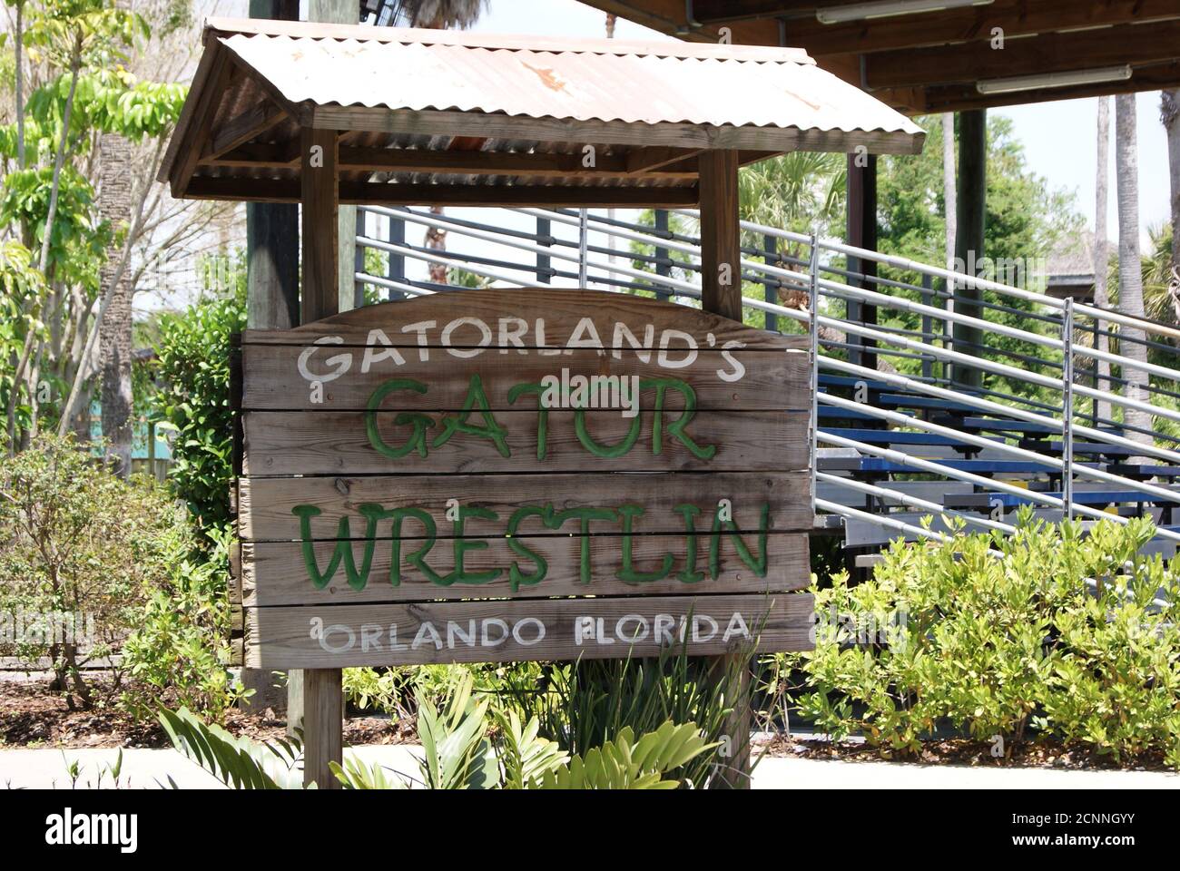 Everglades Gatorland High Resolution Stock Photography and Images - Alamy
