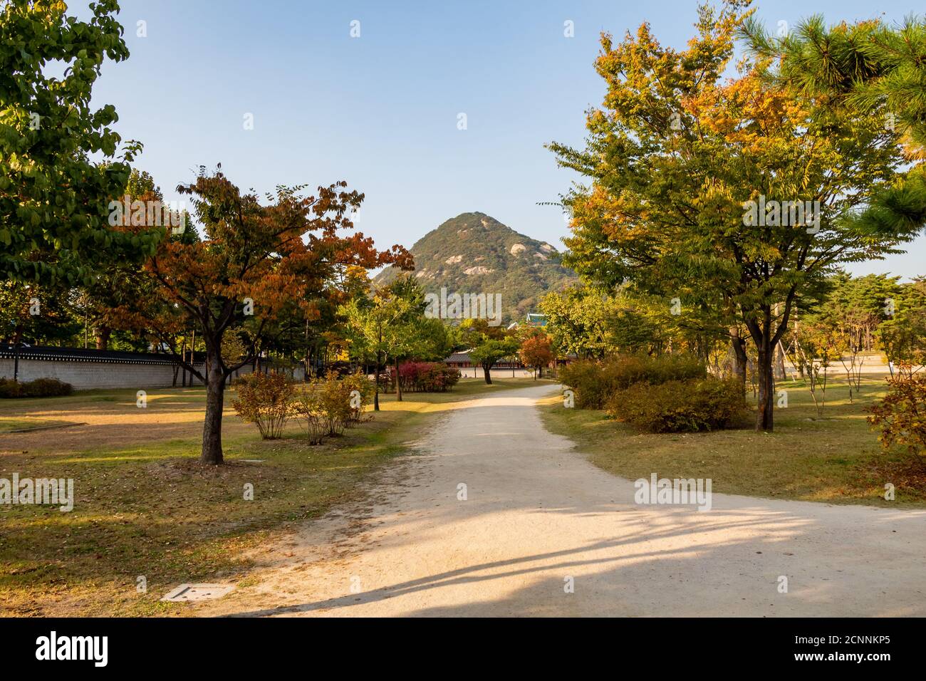 The gardens of Gyeongbokgung Palace, with Bugaksan Mountain in the ...