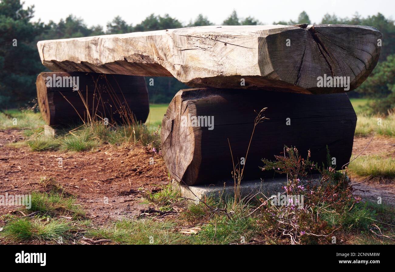 Heather field hi-res stock photography and images - Alamy