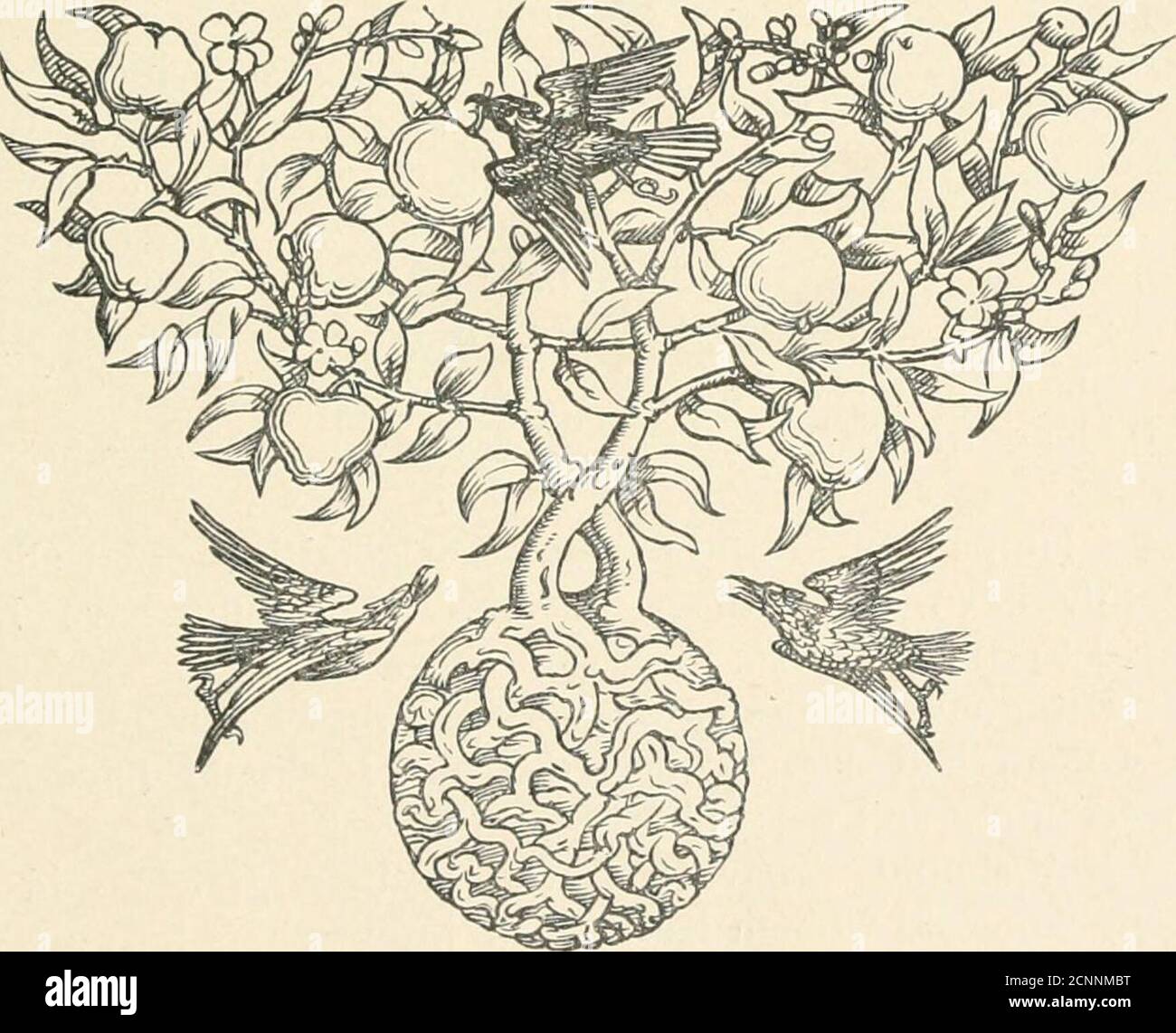 Grimm and ravens hi-res stock photography and images - Alamy