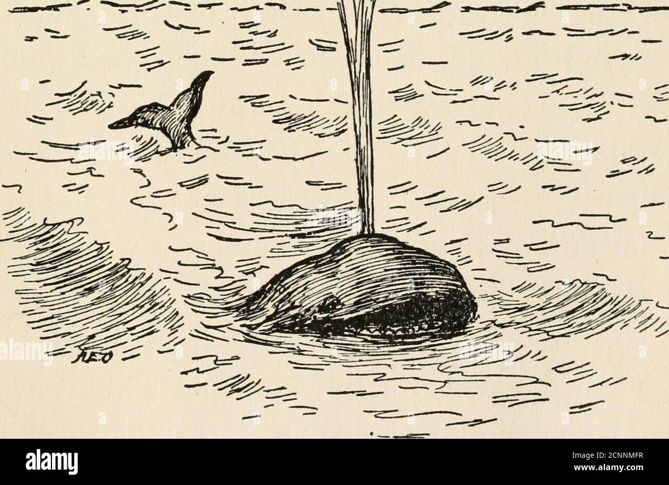 Air bubble in eye hi-res stock photography and images - Alamy