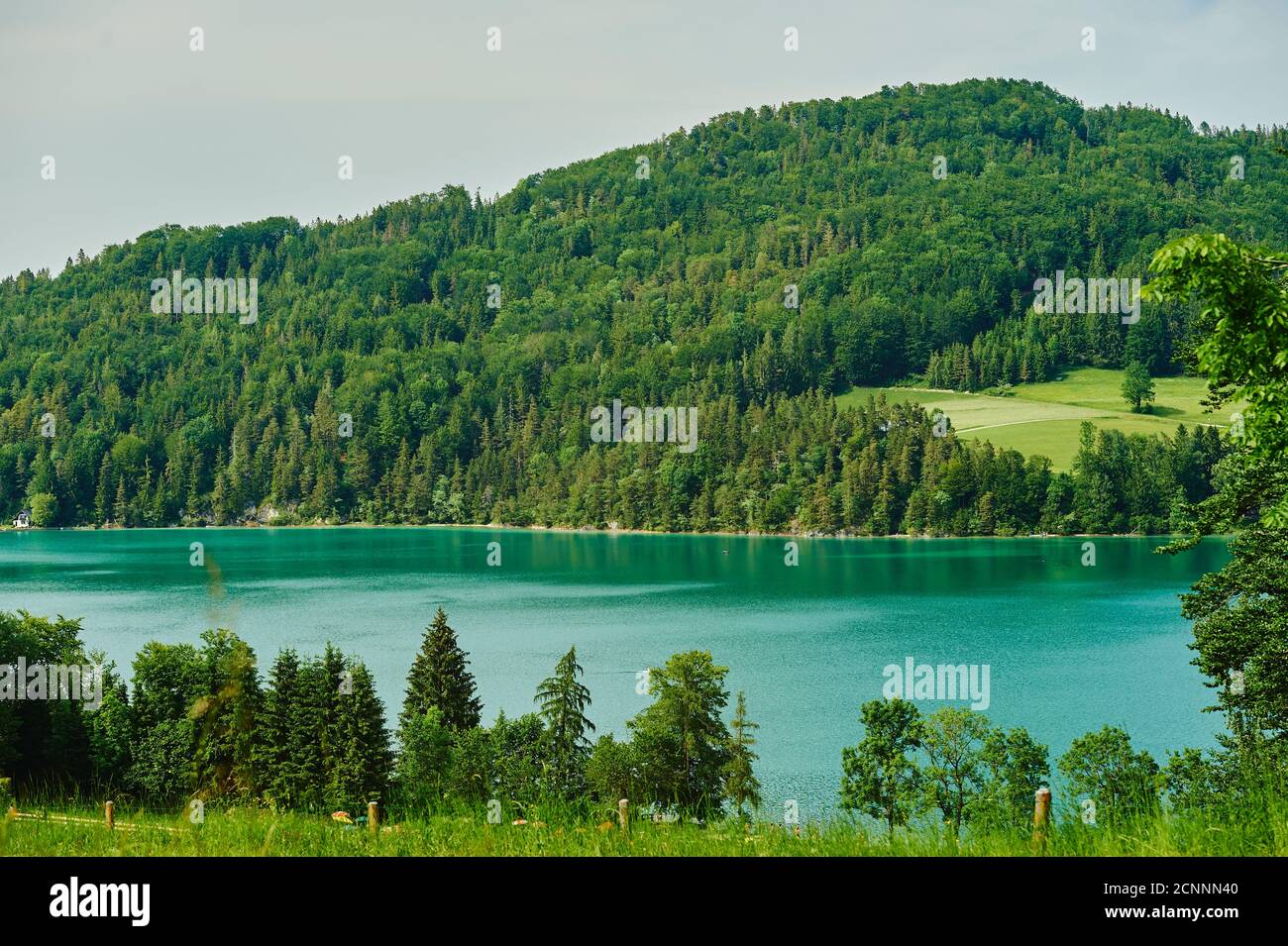 Fuschlsee, Salzkammergut, Salzburg, Austria, Europe Stock Photo - Alamy