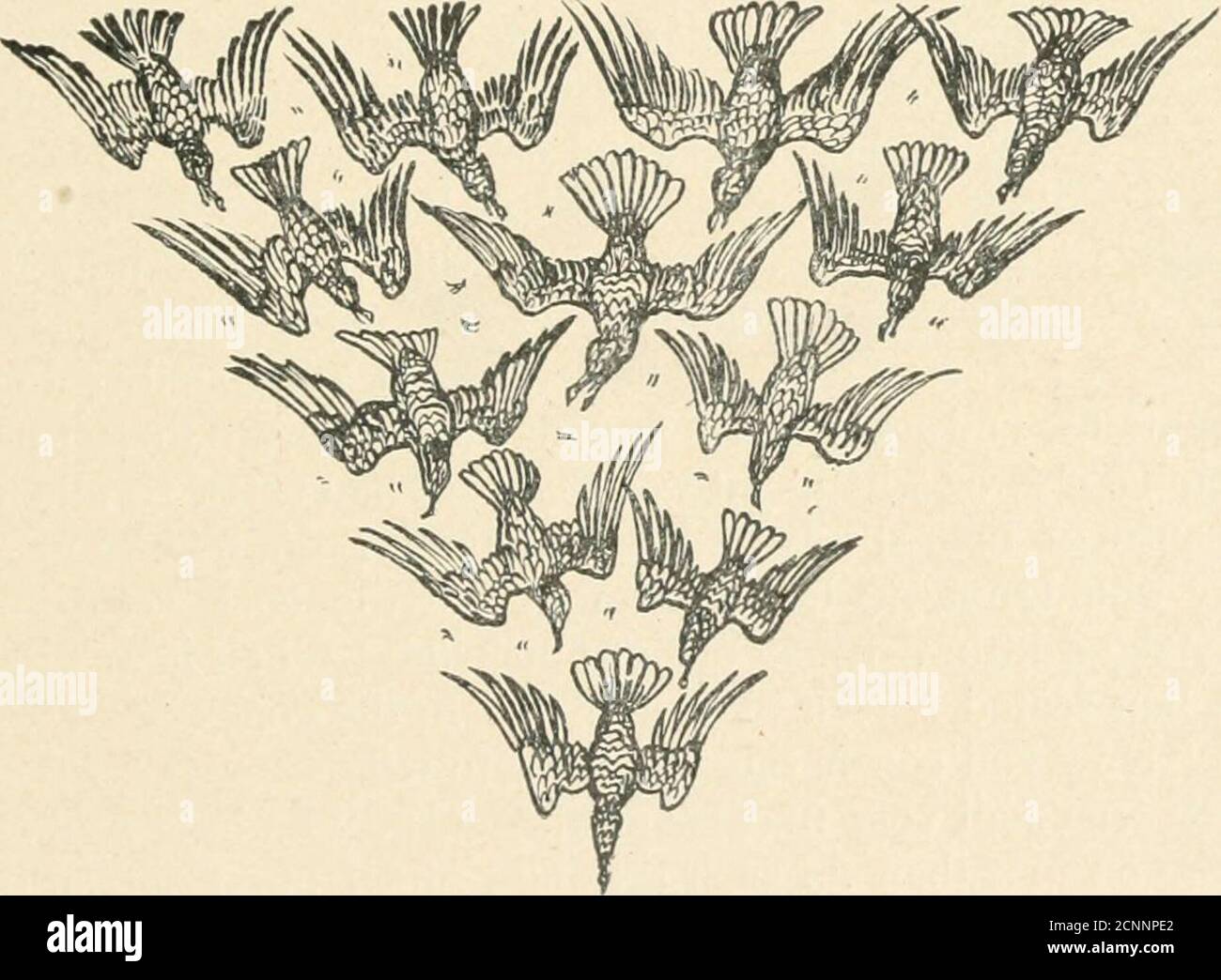 Grimm and ravens hi-res stock photography and images - Alamy