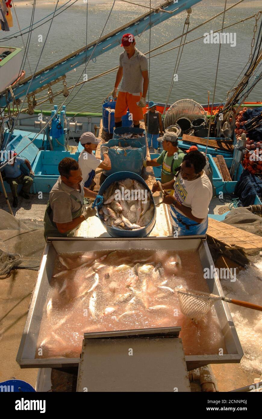 Commercial fishing, teamwork Stock Photo - Alamy