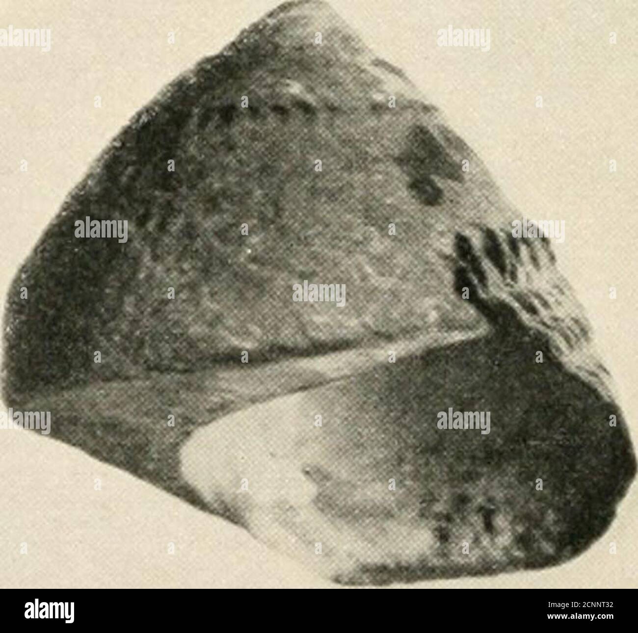 Pica turbo hi-res stock photography and images - Alamy