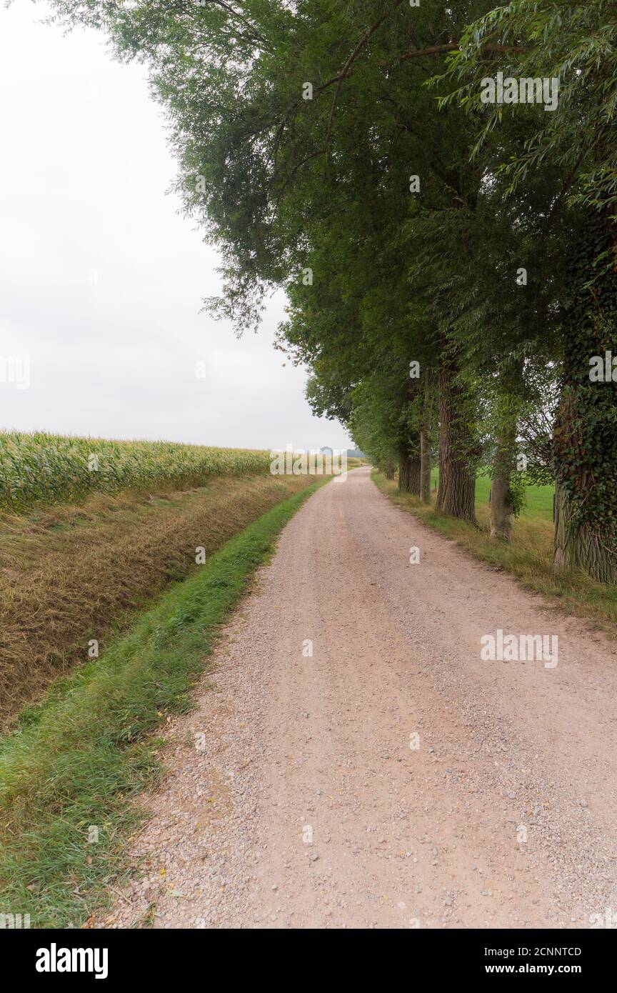 Millingen aan de rijn hi-res stock photography and images - Alamy