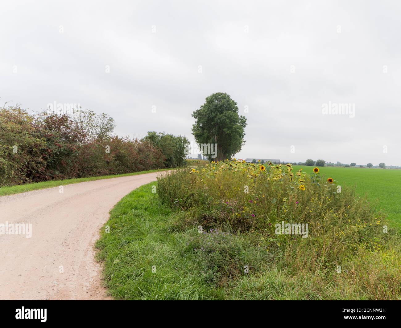 Millingen aan de rijn hi-res stock photography and images - Alamy