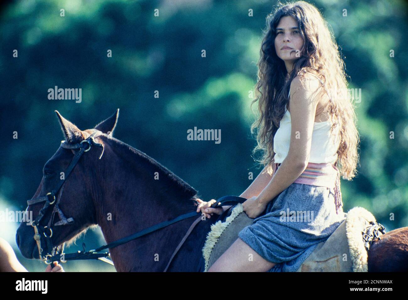 Pantanal, Brazilian telenovela – TV serial drama , soap opera ...