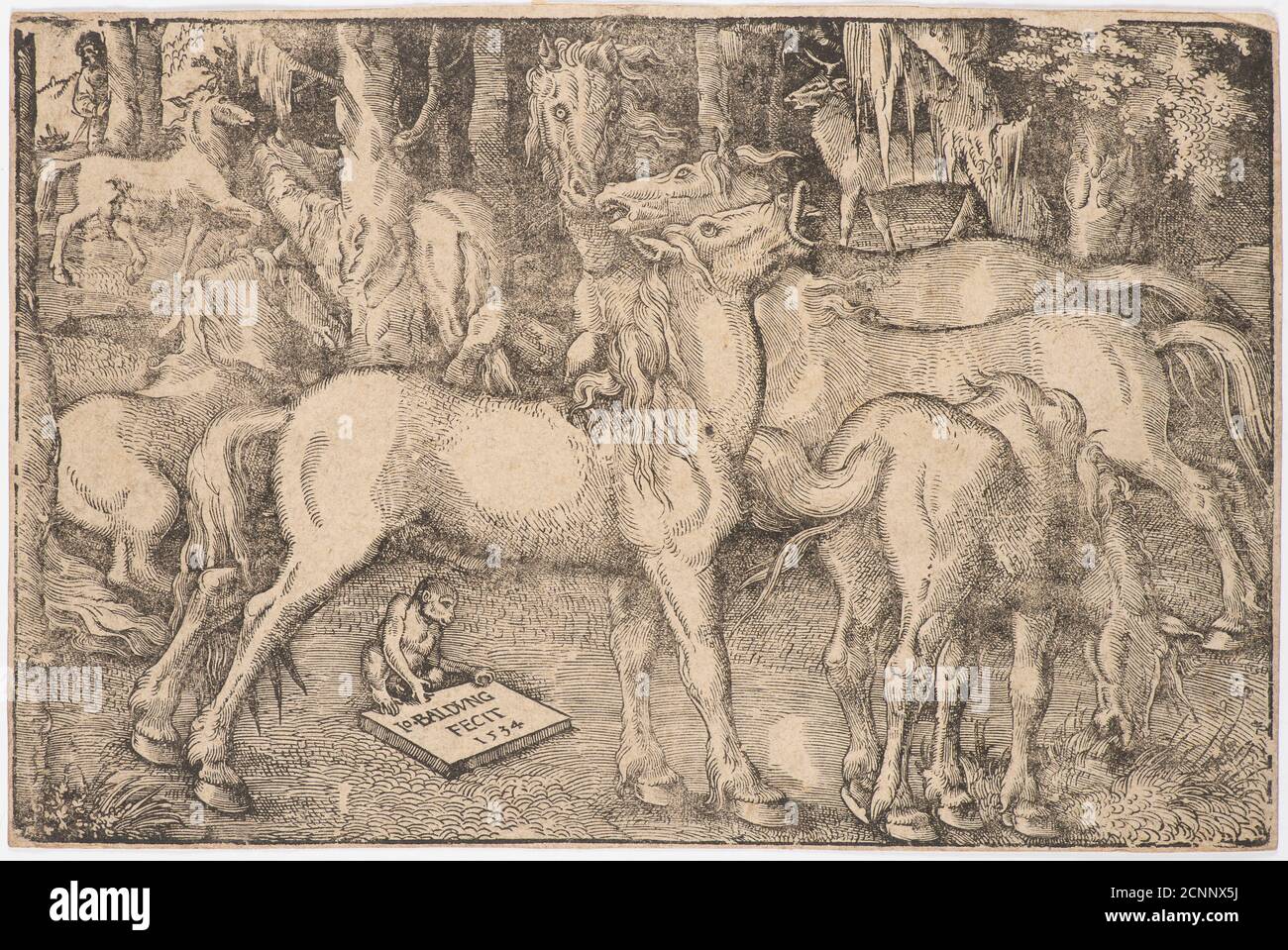 Group of Seven Horses, 1534. Private Collection Stock Photo - Alamy