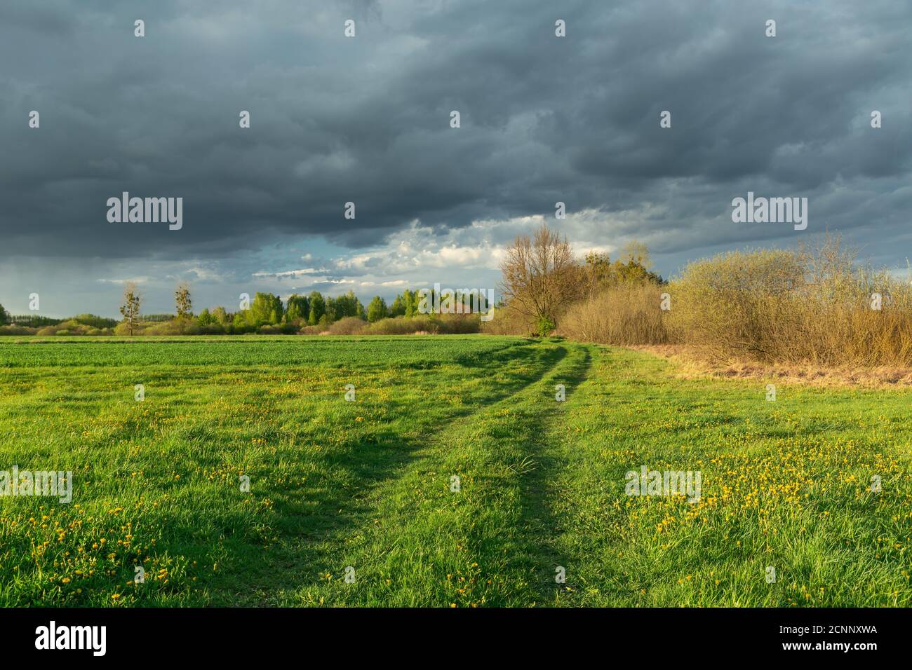 Path through a green meadow with trees and dark rainy clouds at the sky ...