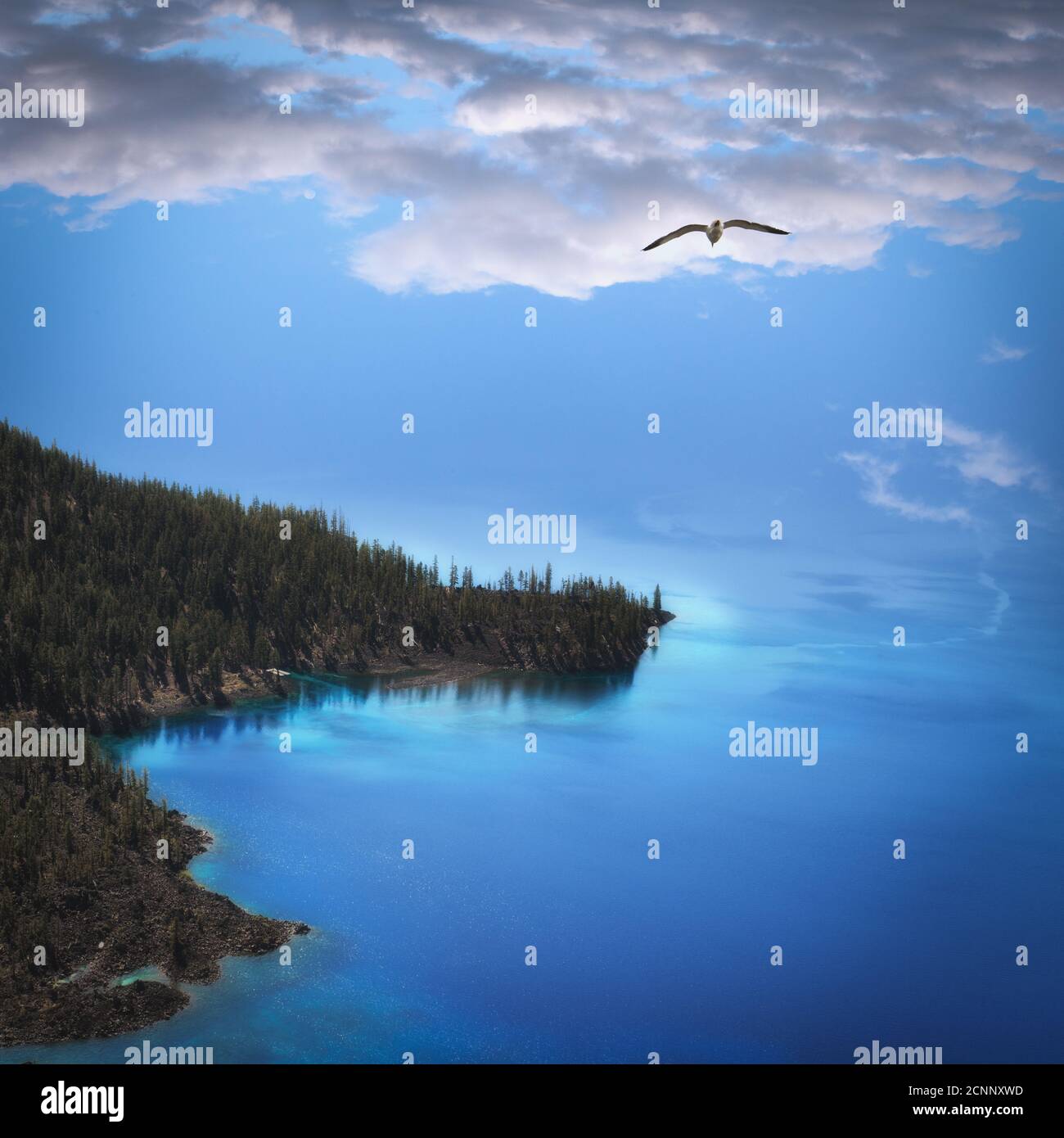 Coastal usa landscape hi-res stock photography and images - Alamy