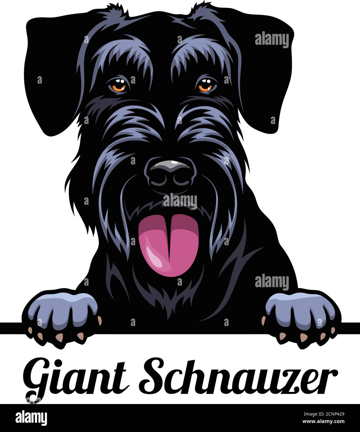 Logotipo De Perro Schnauzer Schnauzer Logo Vector Images (over 200)