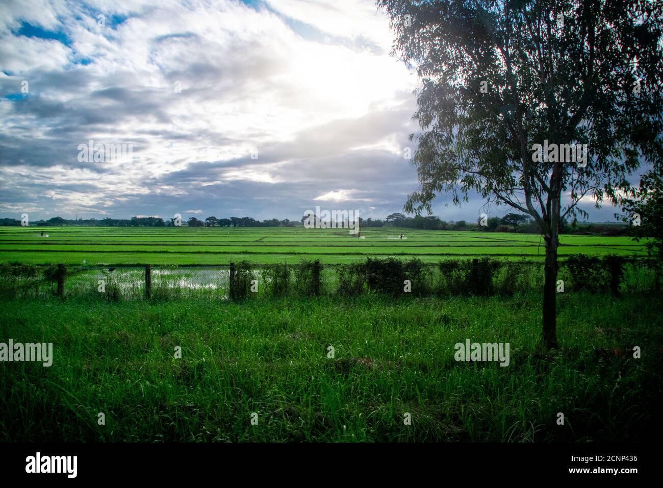 Explore manila hi-res stock photography and images - Alamy