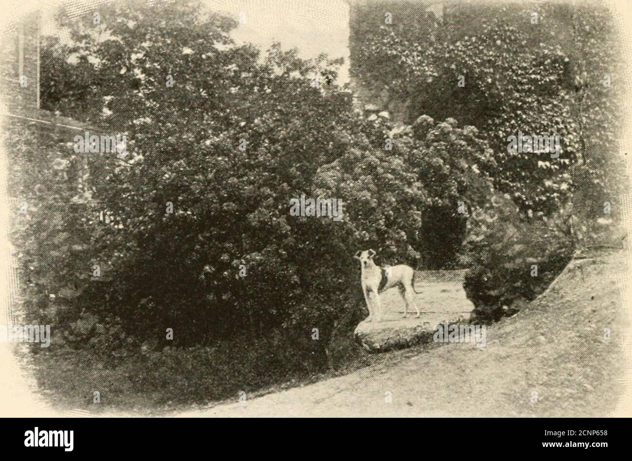 Faltering Steps High Resolution Stock Photography and Images - Alamy