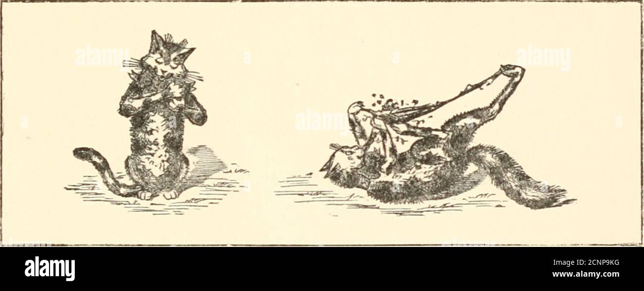 . A book of cheerful cats and other animated animals . Story of the ...